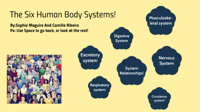The Six Human Body Systems! by Camille Ribeiro on Prezi