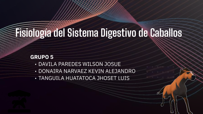 Fisiología del Sistema Digestivo de Caballos by joSt on Prezi