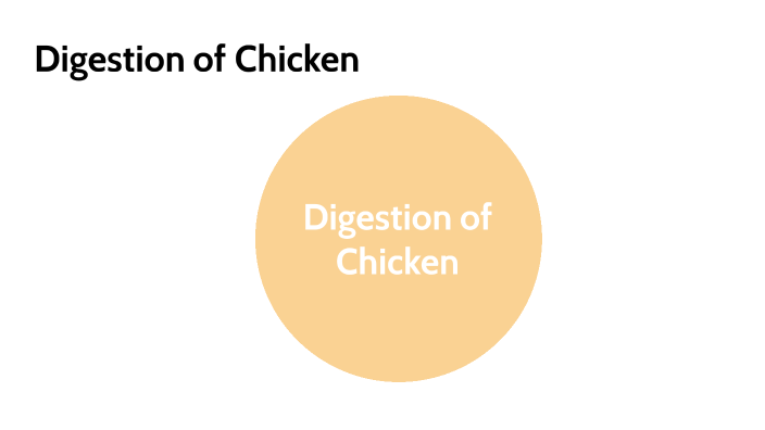 Digestion of Chicken by Brendan McGillick on Prezi