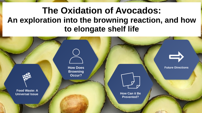 The Oxidation of Avocado by Julia Sprenger on Prezi