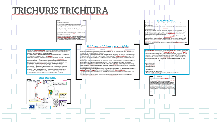 TRICHURIS TRICHIURA by Daniel Velazquez-Amador on Prezi