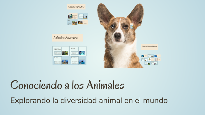 Conociendo a los Animales by Andy Mendieta on Prezi