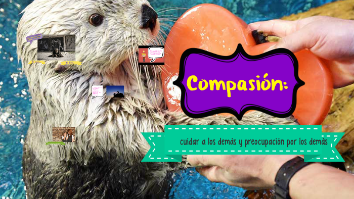 Compasión by Brenda Calvillo on Prezi