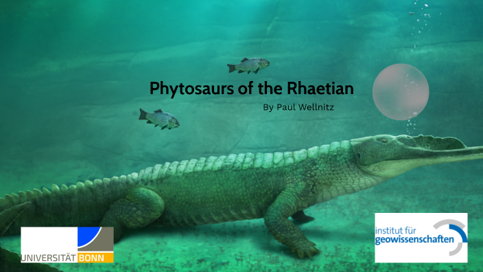 Kopie von A small overview on everything there is to know about ...