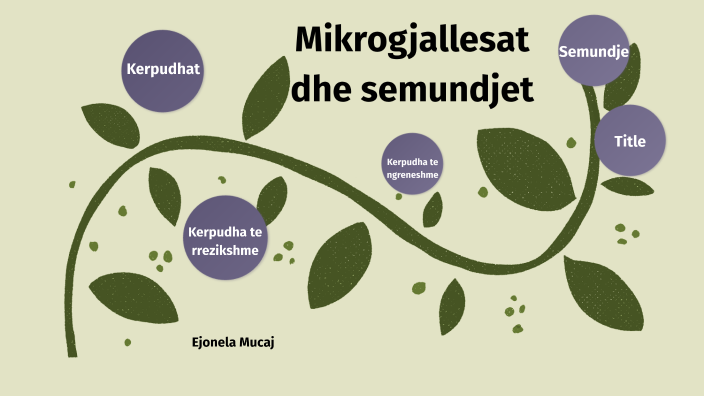 kerpudhat by Kpop Fan on Prezi