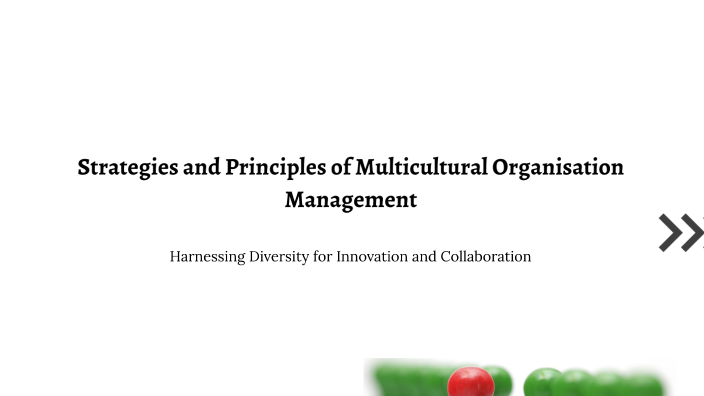 Strategies and Principles of Multicultural Organisation Management by ...