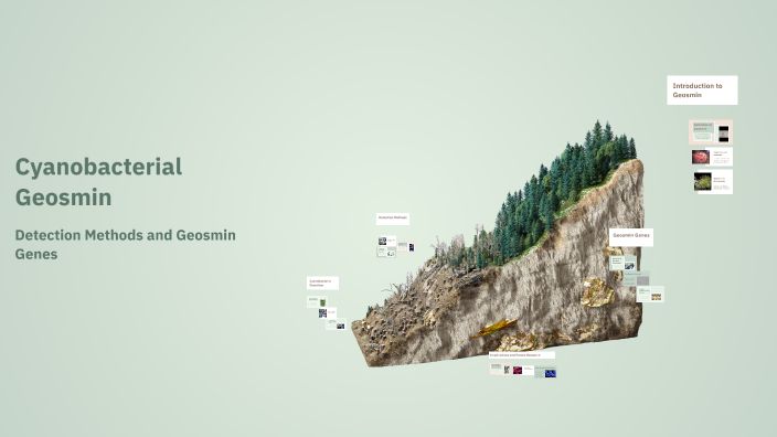Cyanobacterial Geosmin by Jane Smith on Prezi