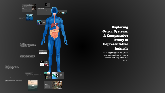 Exploring Organ Systems: A Comparative Study of Representative Animals ...