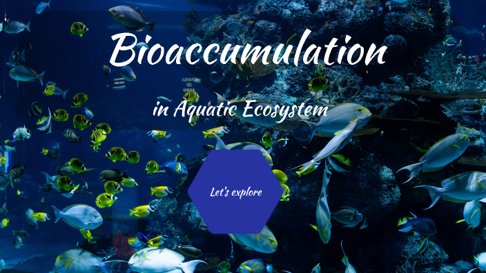 Bioaccumulation in Aquatic Ecosystem by Lavinia Da Viá on Prezi