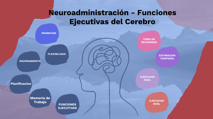 FASE 2 - Neuroadministración by Mayra Cupacan on Prezi