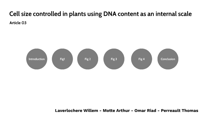 Cell size control - DNA scale by willem laverlochere on Prezi