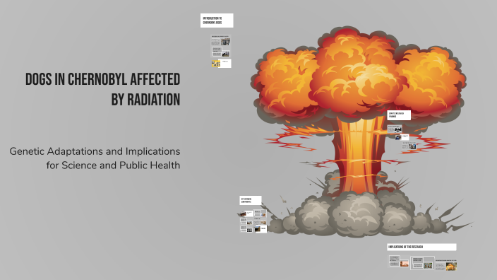 Dogs in Chernobyl Affected by Radiation by Brandon Bertrand on Prezi