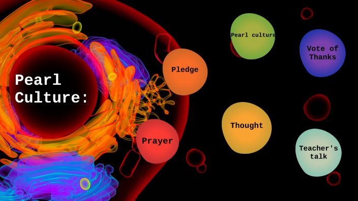 pearl culture assembly by Anika Patil on Prezi
