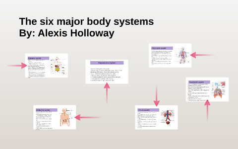 The six major body systems by on Prezi