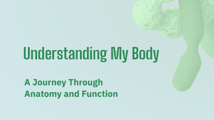 Understanding My Body by YUG MITTAL on Prezi