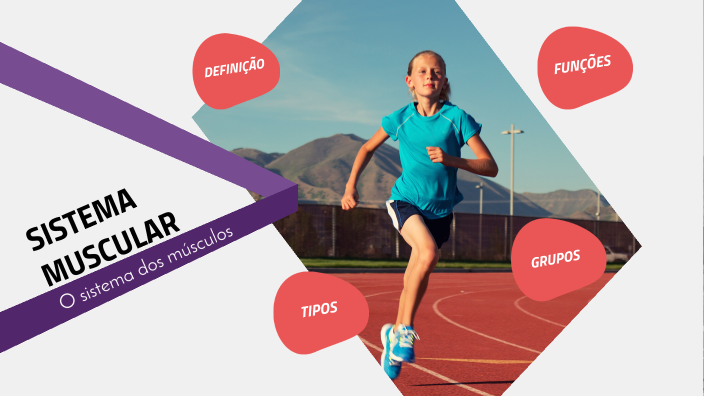 Sistema muscular by Emily_ Noguchi on Prezi