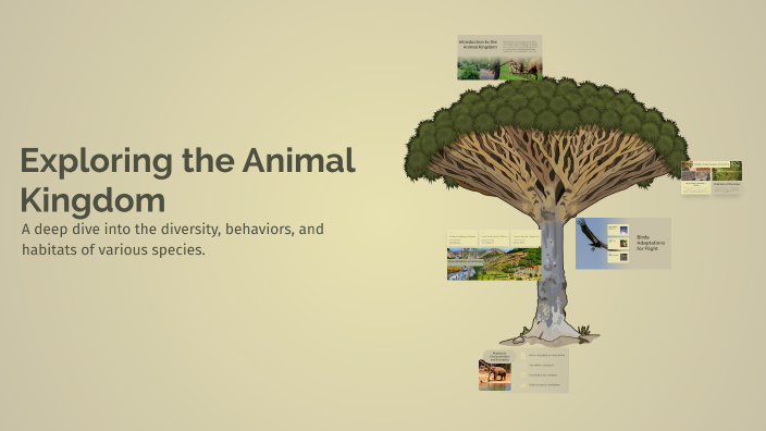 Exploring the Animal Kingdom by Ja K on Prezi