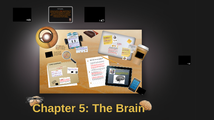Chapter 5: The Brain by Melissa Oaks