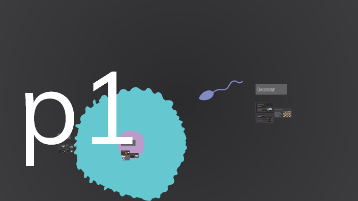 p1 by erick murillo on Prezi