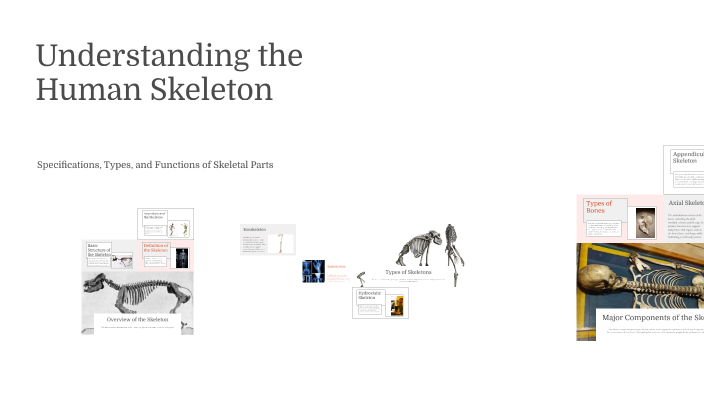 Understanding the Human Skeleton by Ahmed Ahmed on Prezi