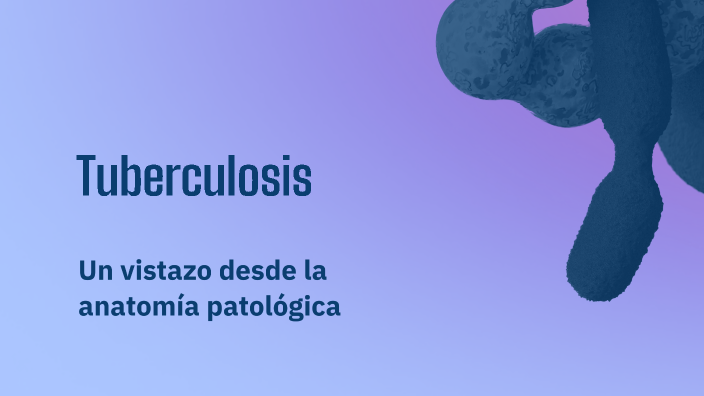 Tuberculosis_Anatomía Patológica by Nina Gonzalez on Prezi