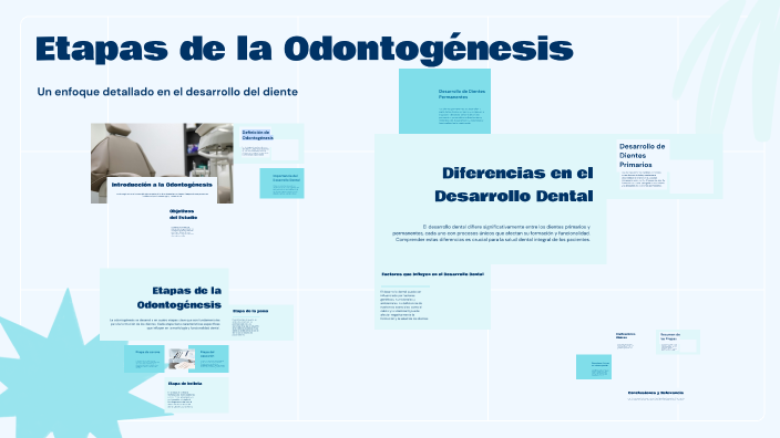 Etapas de la Odontogénesis by Matias Andrade on Prezi