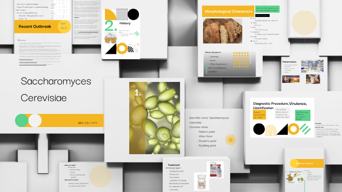 Pathogen Project by Hannah Keuerleber on Prezi