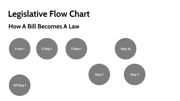 Legislative Flow Chart by Keira Stein on Prezi