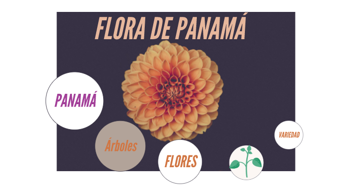FLORA DE PANAMÁ by Francis Bethancourt on Prezi