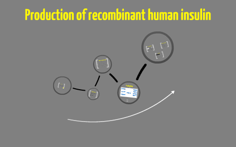 Production of recombinant human insulin by Christian Åsheim on Prezi