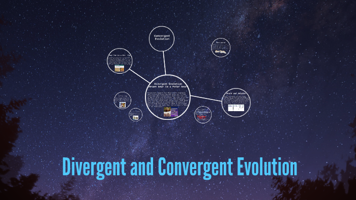 Divergent and Convergent Evolution by cara wood on Prezi