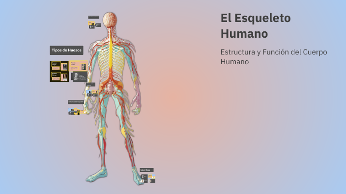 El Esqueleto Humano by gary bedoya on Prezi