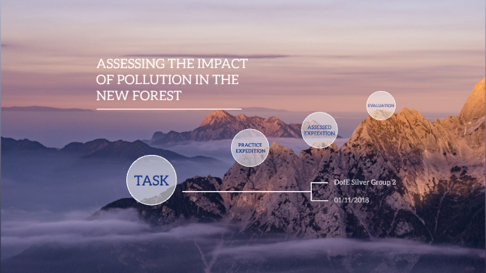 Assessing the Impact of Air Pollution in the New Forest by Euan Ong on ...