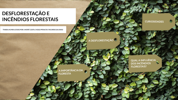 Apresentação Geografia by dvdsp_2008 on Prezi