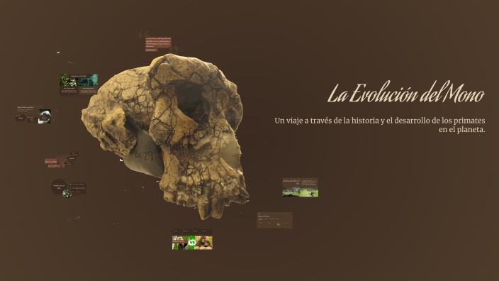 La Evolución del Mono by LIVIO ERICKSON TICONA HUALLPA on Prezi