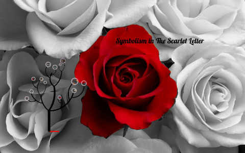 Symbolism in The Scarlet Letter by Emma Erickson on Prezi