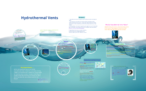 Hydrothermal Vent Model