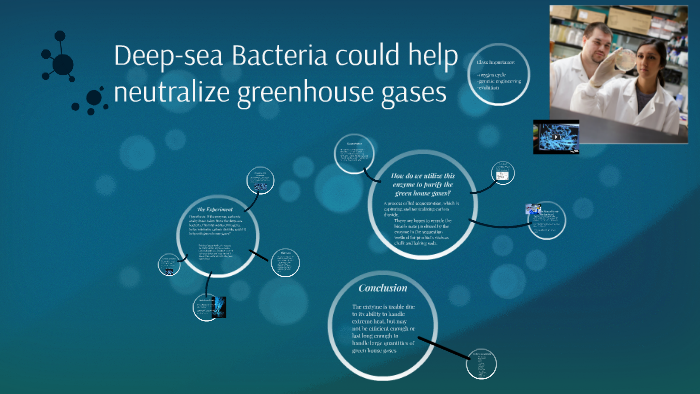 Deep-sea Bacteria could help neutralize greenhouse gases by Mary ...