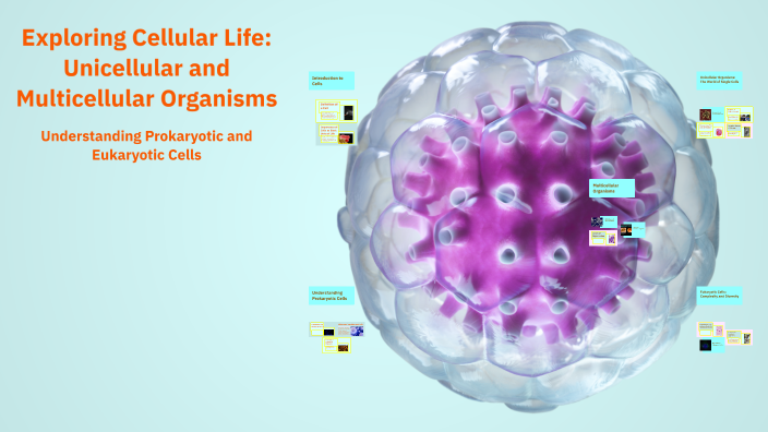 Exploring Cellular Life: Unicellular and Multicellular Organisms by ...