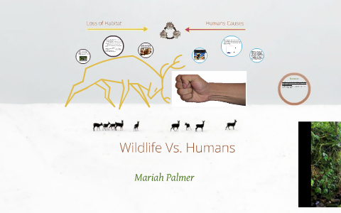 Wildlife Vs. Humans by mariah palmer on Prezi