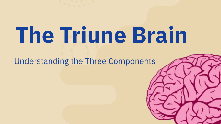 The Triune Brain by John Raemer EDA LAURZANO on Prezi