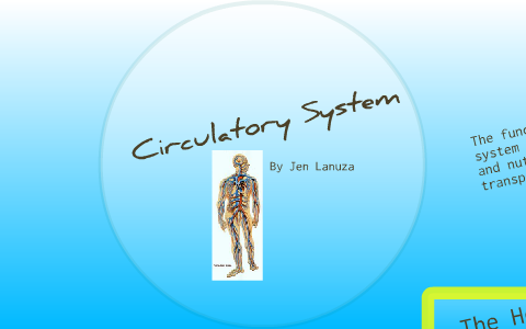 Circulatory System by Jen Lanuza on Prezi