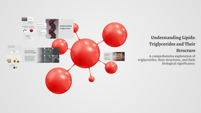 Understanding Lipids: Triglycerides and Their Structure by Kelly ...