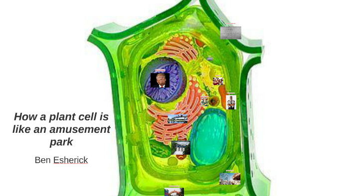 How a cell is like an amusement park by Benjamin Esherick on Prezi