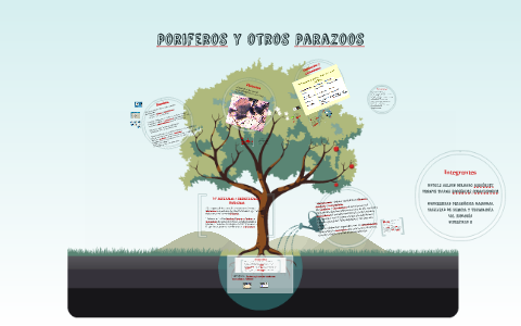 poriferos y otros parazoos by Saya Rodriguez on Prezi