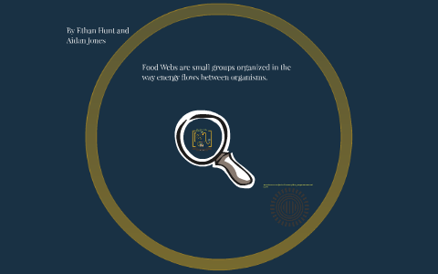Florida Food Web by Ethan Hunt on Prezi