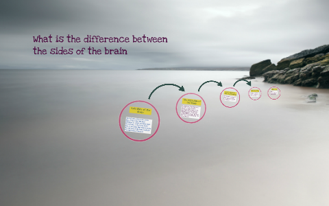 Why does the right side of the brain control the left side o by Cameron ...