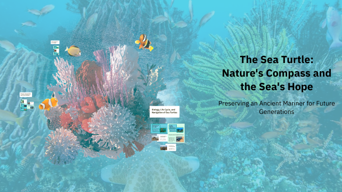 The Sea Turtle: Nature's Compass and the Sea's Hope by Tindra Lindblad ...