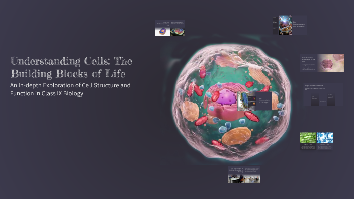 Understanding Cells: The Building Blocks of Life by Ns V on Prezi