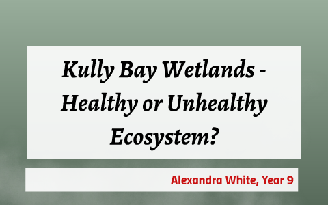 Kully Bay Wetlands - Healthy or Unhealthy Ecosystem? by Alex White on Prezi